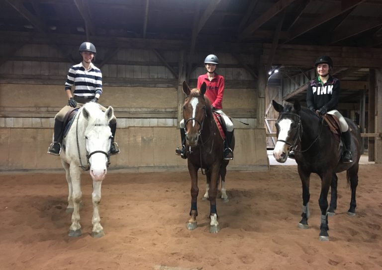 Group Riding Lessons - Meadowlarke Stables