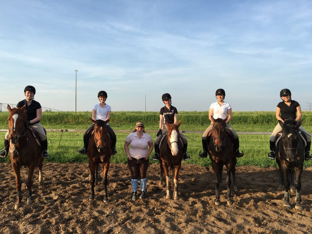Group Riding Lessons - Meadowlarke Stables